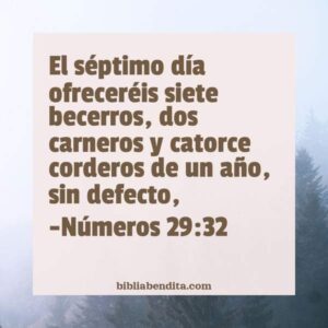 Explicación Números 29:32. 'El séptimo día ofreceréis siete becerros ...