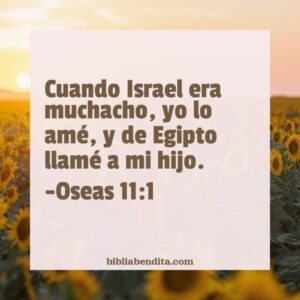 Explicación Oseas 11:1. 'Cuando Israel era muchacho,yo lo amé, y de Egipto llamé a mi hijo ...