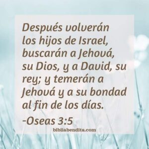 Explicación Oseas 3:5. 'Después volverán los hijos de Israel, buscarán ...