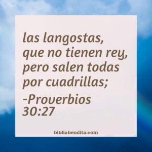Explicación Proverbios 30:27. 'las langostas, que no tienen rey, pero ...