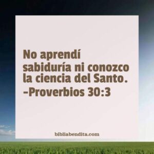 Explicación Proverbios 30:3. 'No aprendí sabiduría ni conozco la ...