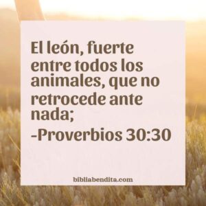 Explicación Proverbios 30:30. 'El león, fuerte entre todos los animales ...