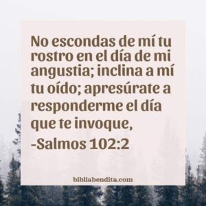 Explicación Salmos 102:2. 'No escondas de mí tu rostro en el día de mi angustia; inclina a mí tu ...